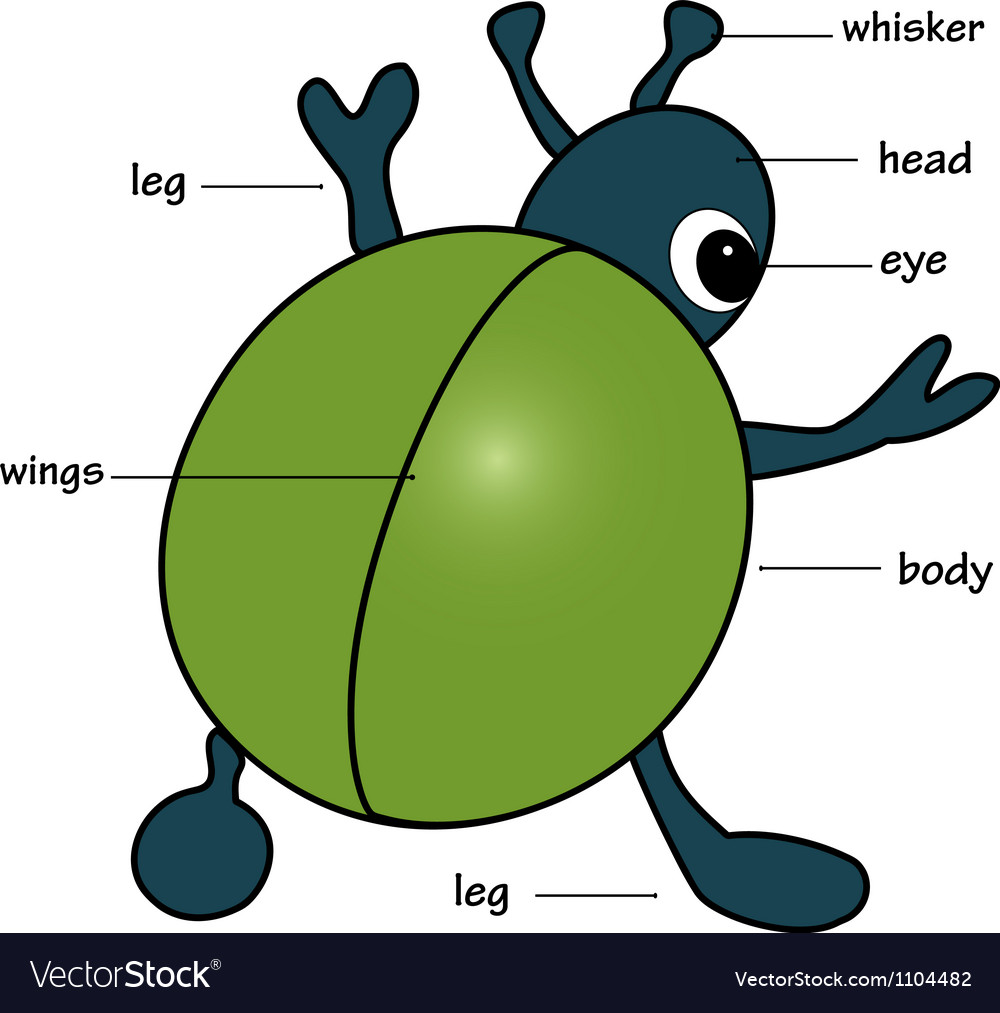 Cartoon bug Royalty Free Vector Image - VectorStock