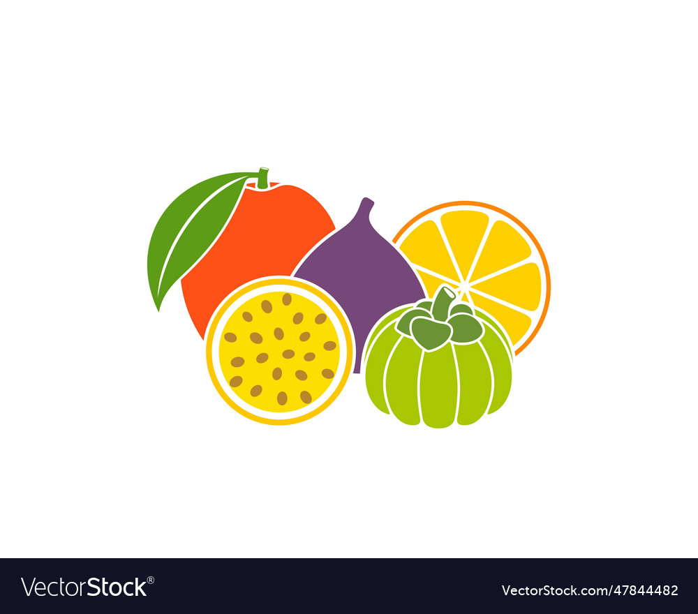 Fruit Royalty Free Vector Image - VectorStock