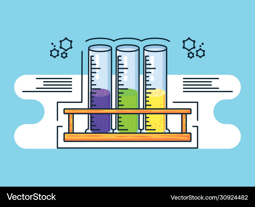Infographic with chemical laboratory test tubes Vector Image