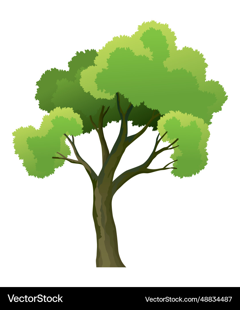 Green tree icon natural forest plant ecology Vector Image