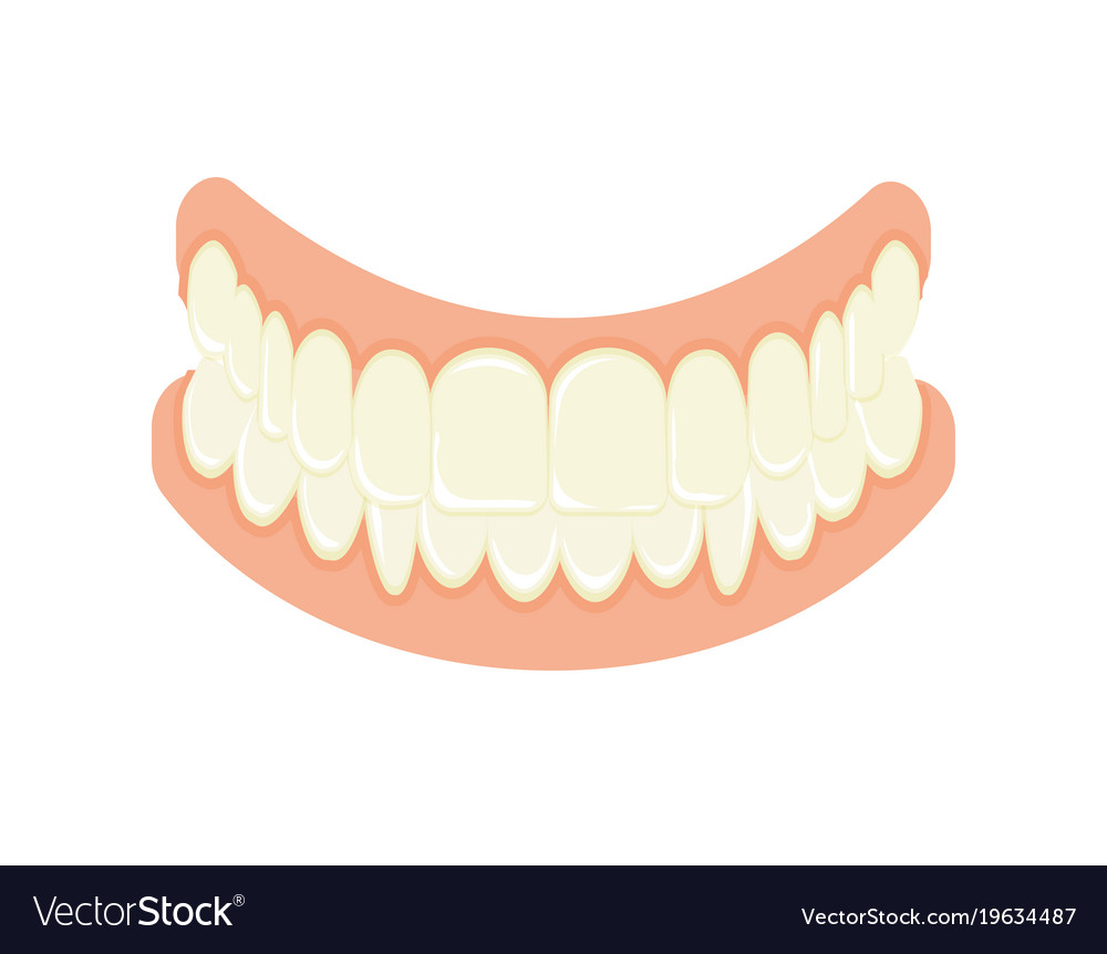 Set false teeth implanted jaw Royalty Free Vector Image