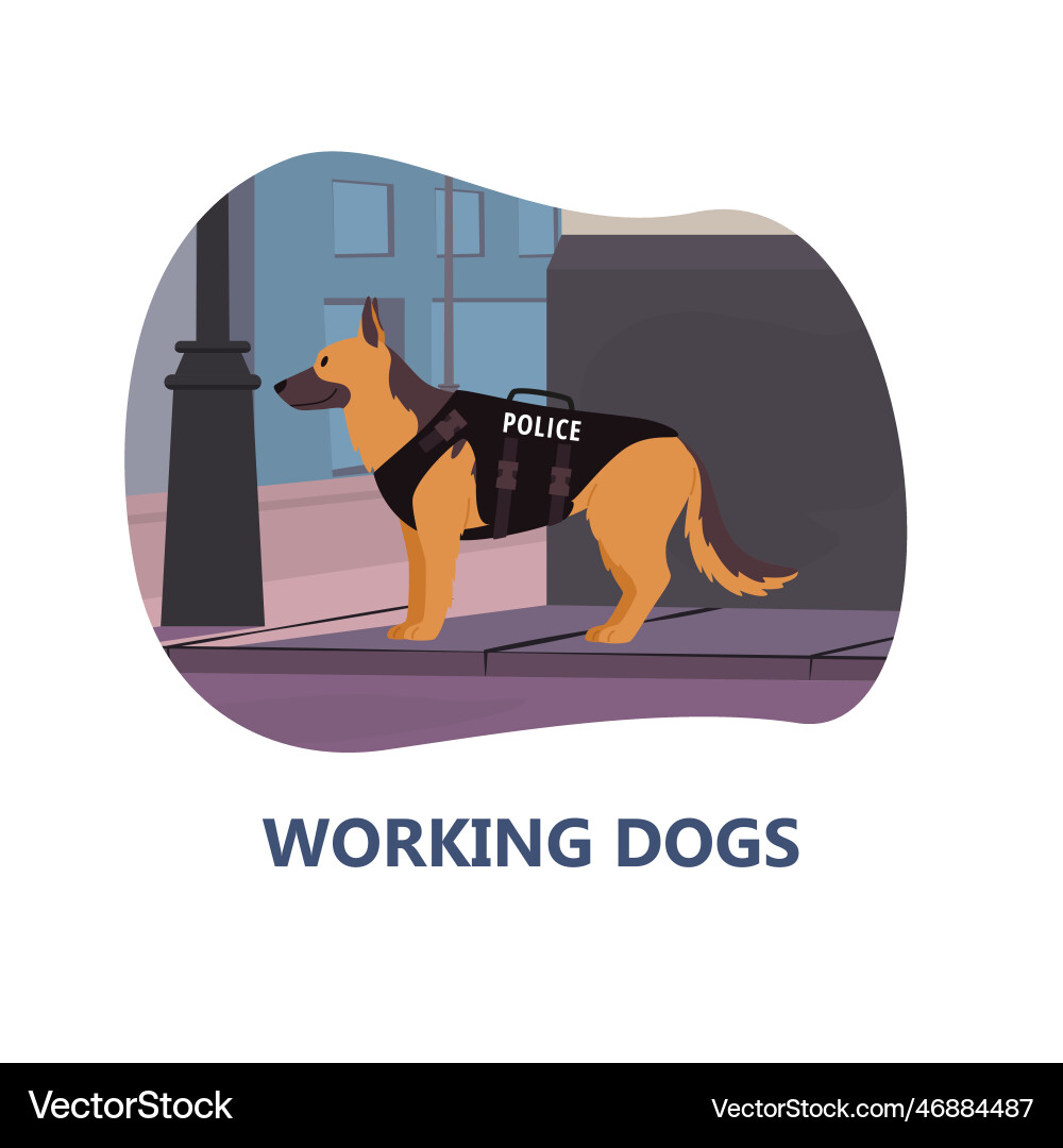 Working dogs serving and assisting people banner Vector Image