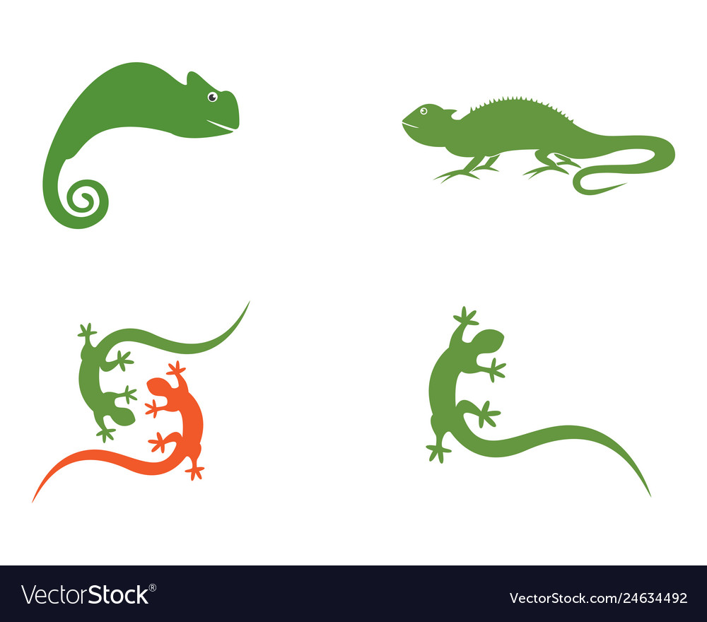 Lizard logo template Royalty Free Vector Image