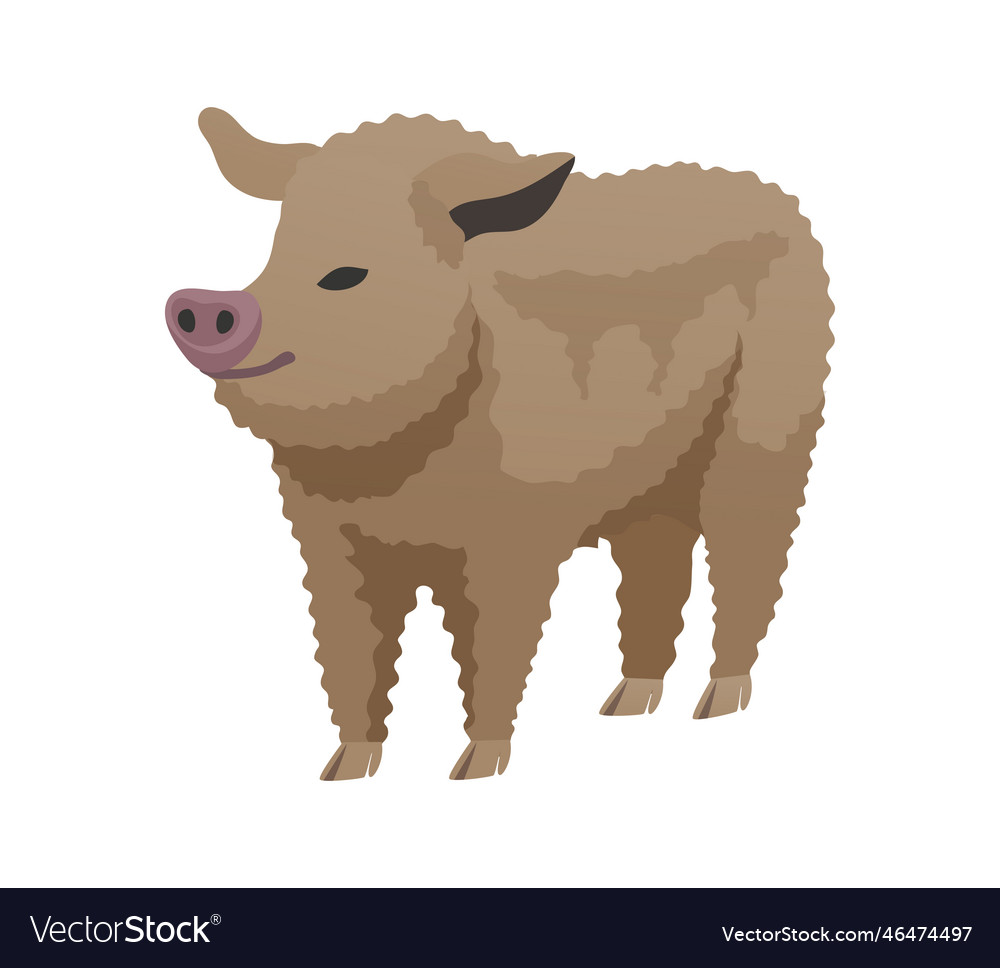 Flat pig Royalty Free Vector Image - VectorStock