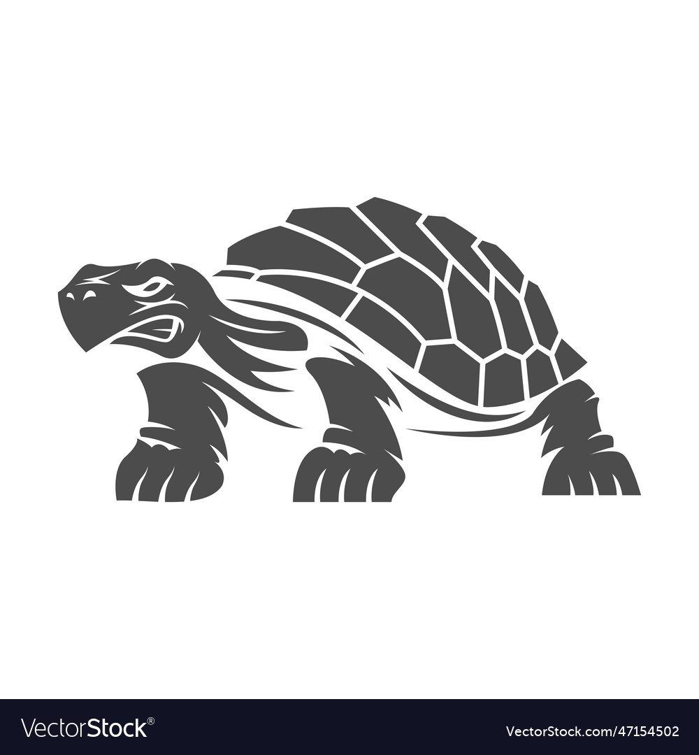 Turtle logo icon design Royalty Free Vector Image