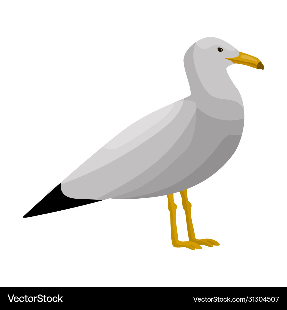 Bird gull iconcartoon icon isolated Royalty Free Vector