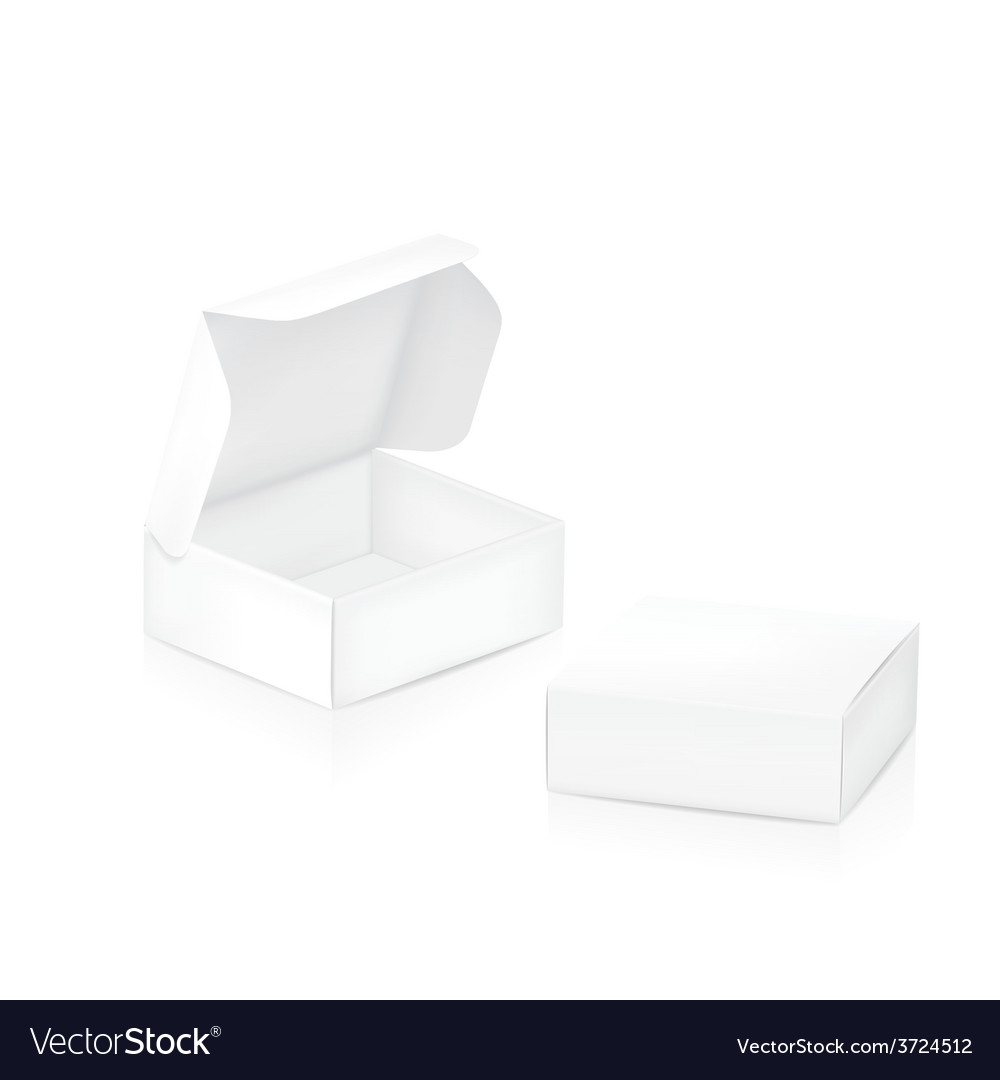 Empty package box Two white packaging boxes Vector Image