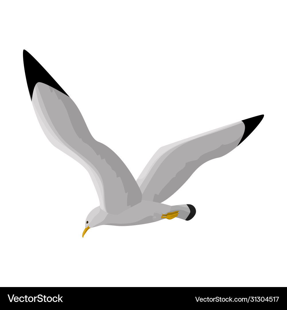 Bird gull iconcartoon icon isolated Royalty Free Vector