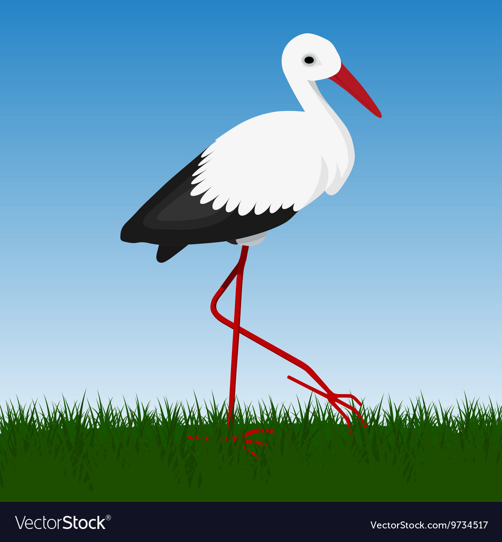 Stork Royalty Free Vector Image - VectorStock