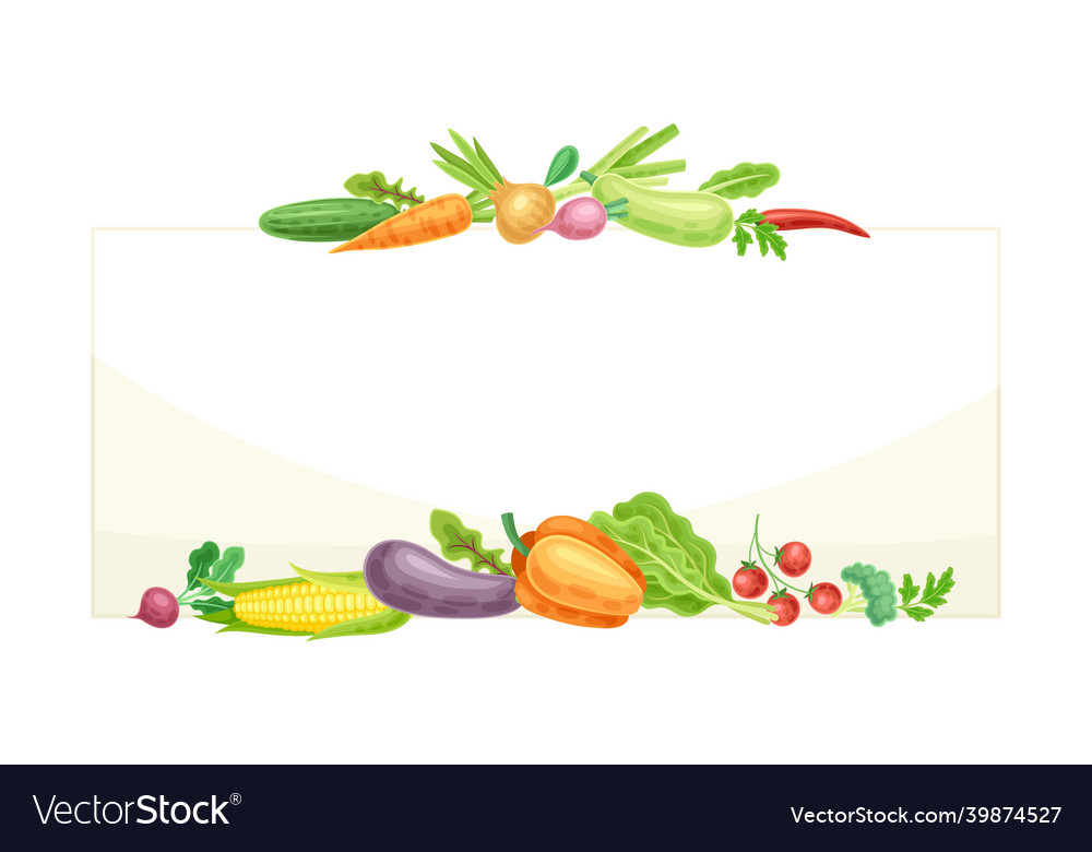 Bright rectangular vegetable frame with ripe Vector Image