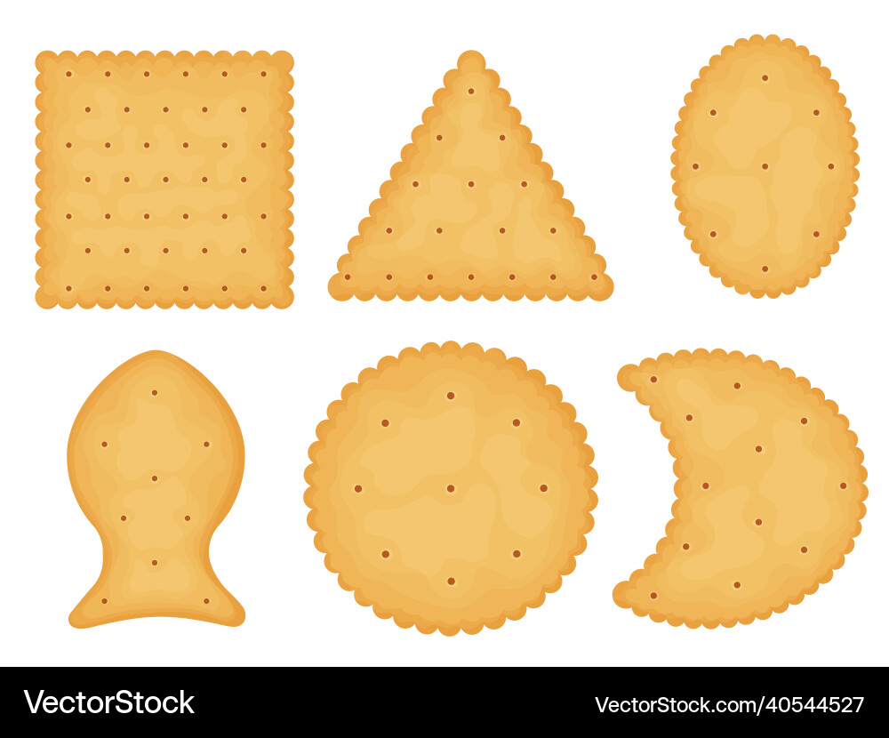 Crackers set of food snacks Royalty Free Vector Image