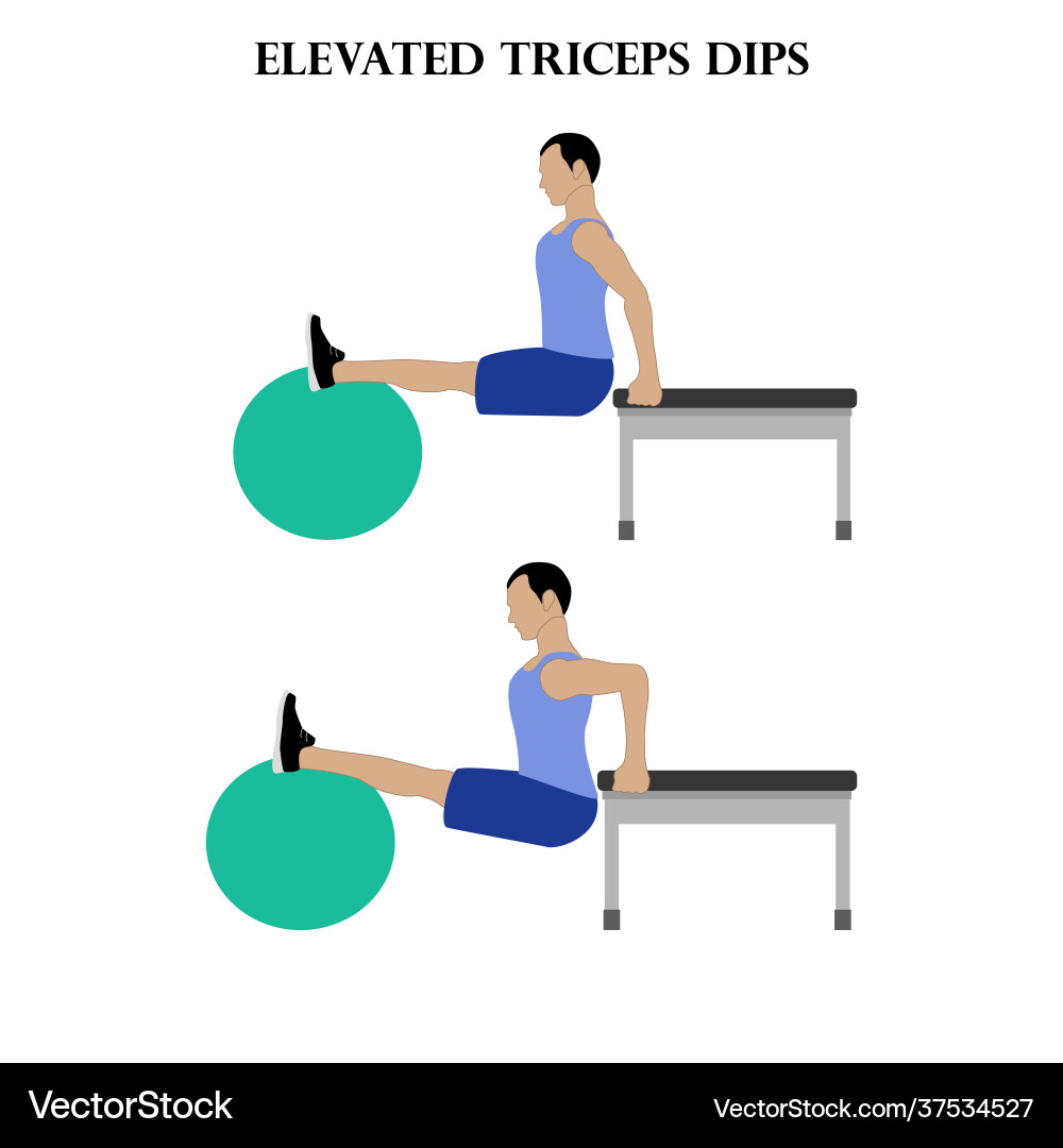 Elevated triceps dips exercise strength workout Vector Image