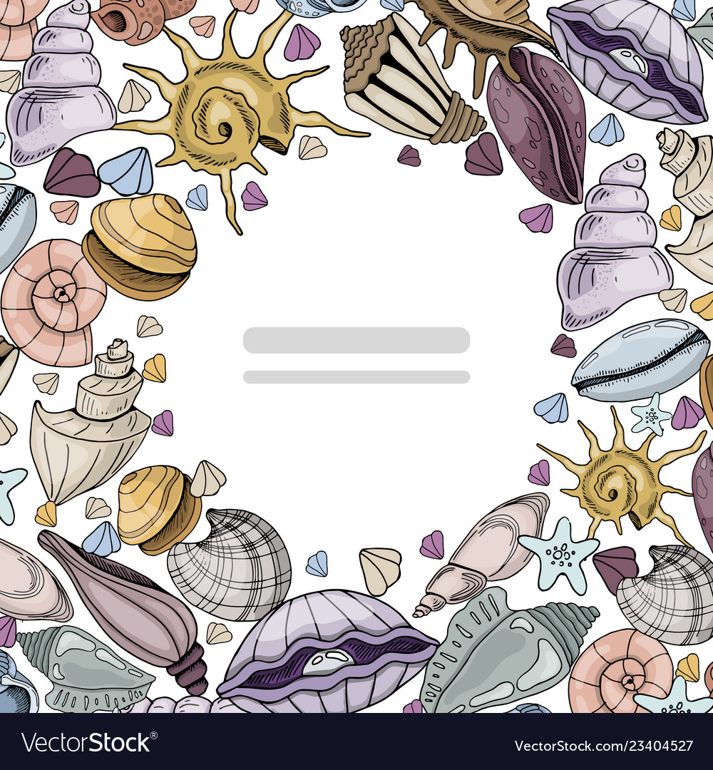 Seashells set Royalty Free Vector Image - VectorStock