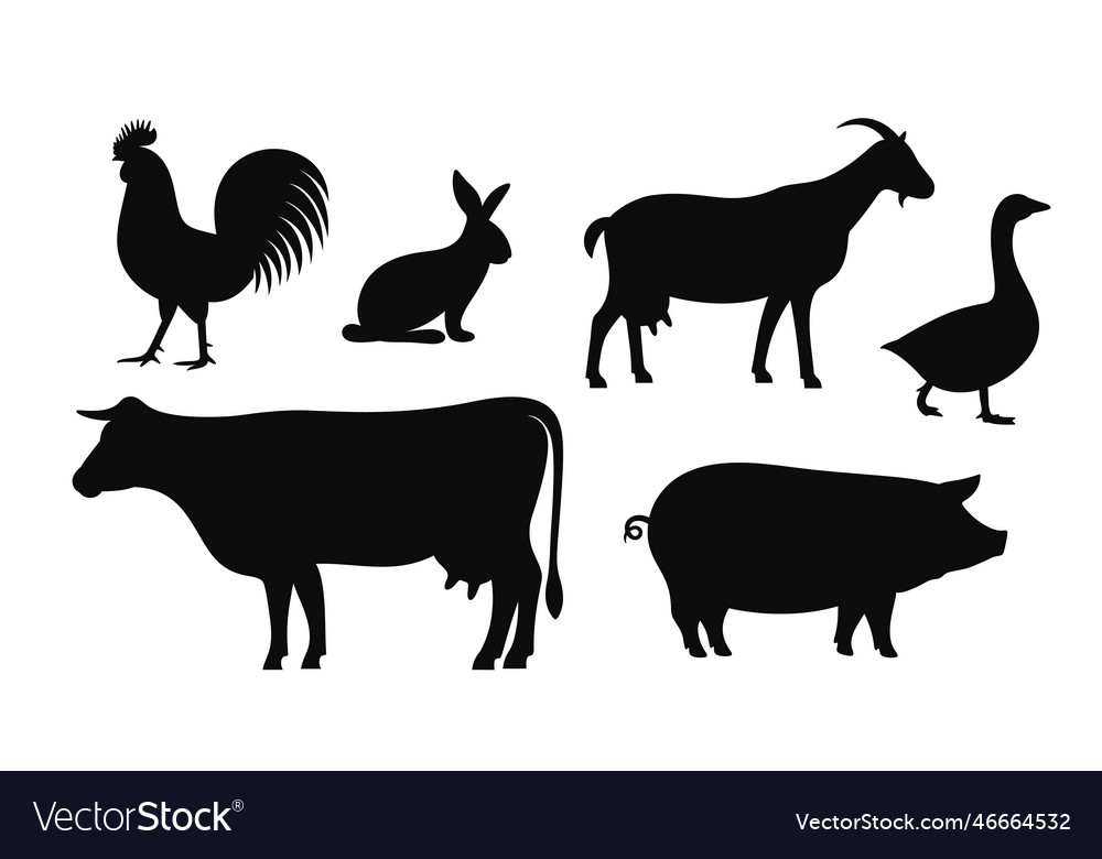 Farm animals Royalty Free Vector Image - VectorStock
