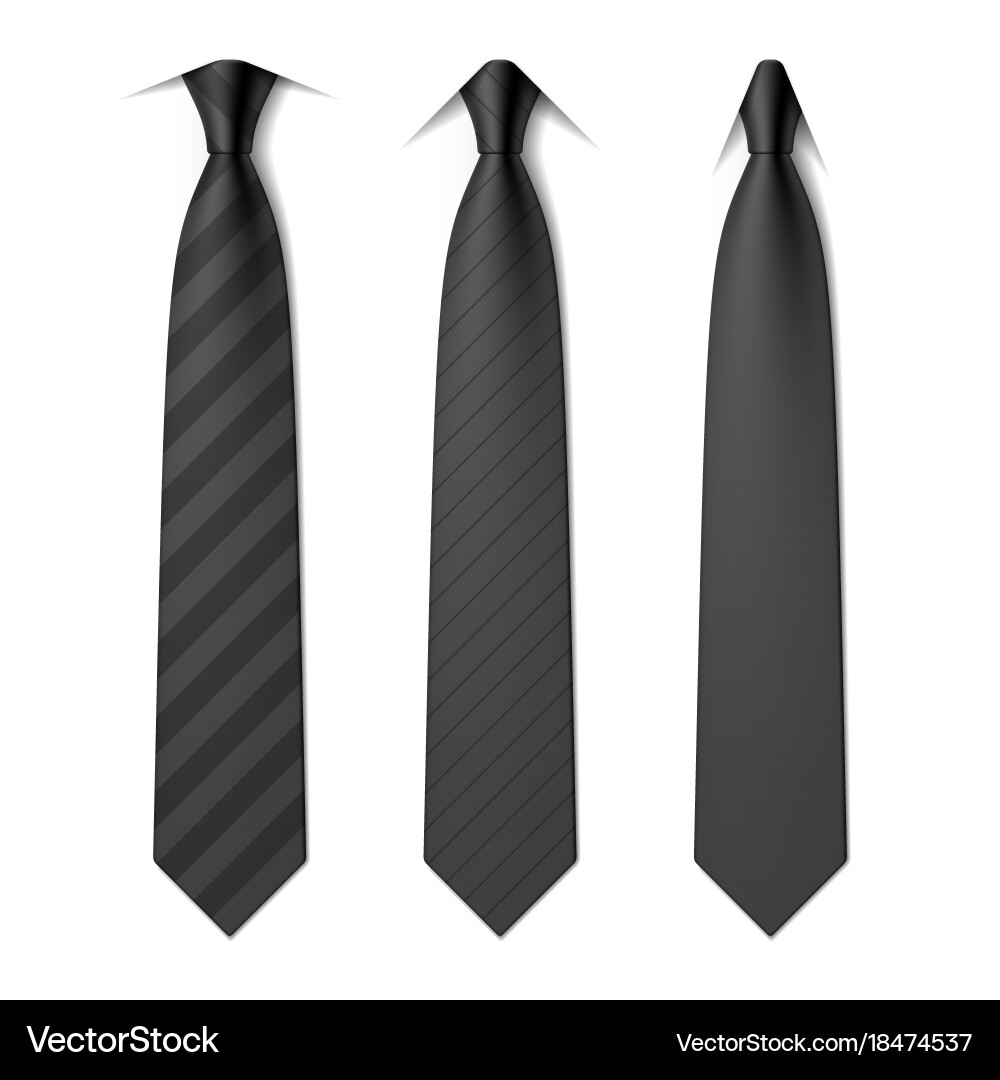 Black business neck ties with different styles Vector Image