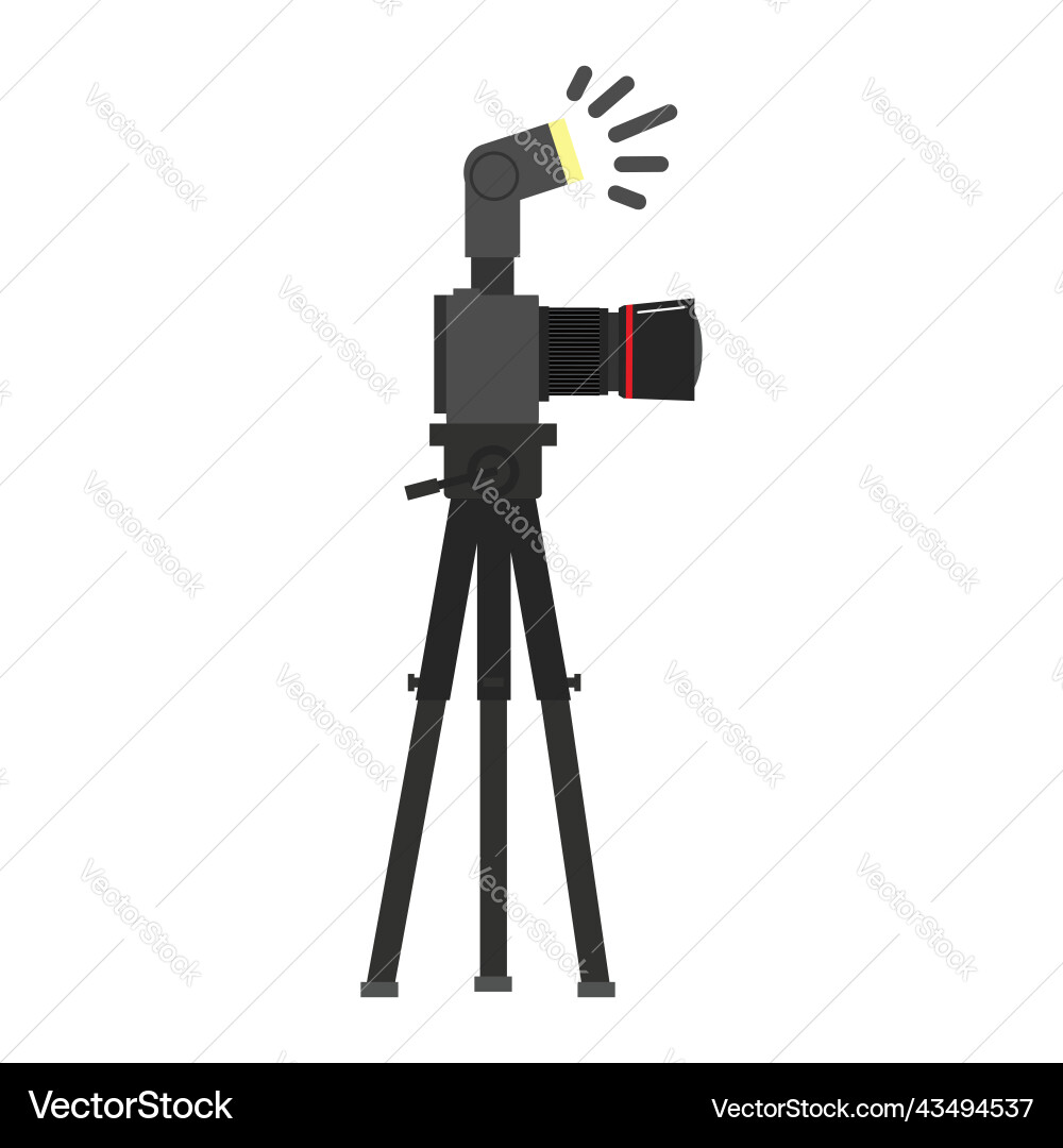 Digital camera with tripod Royalty Free Vector Image