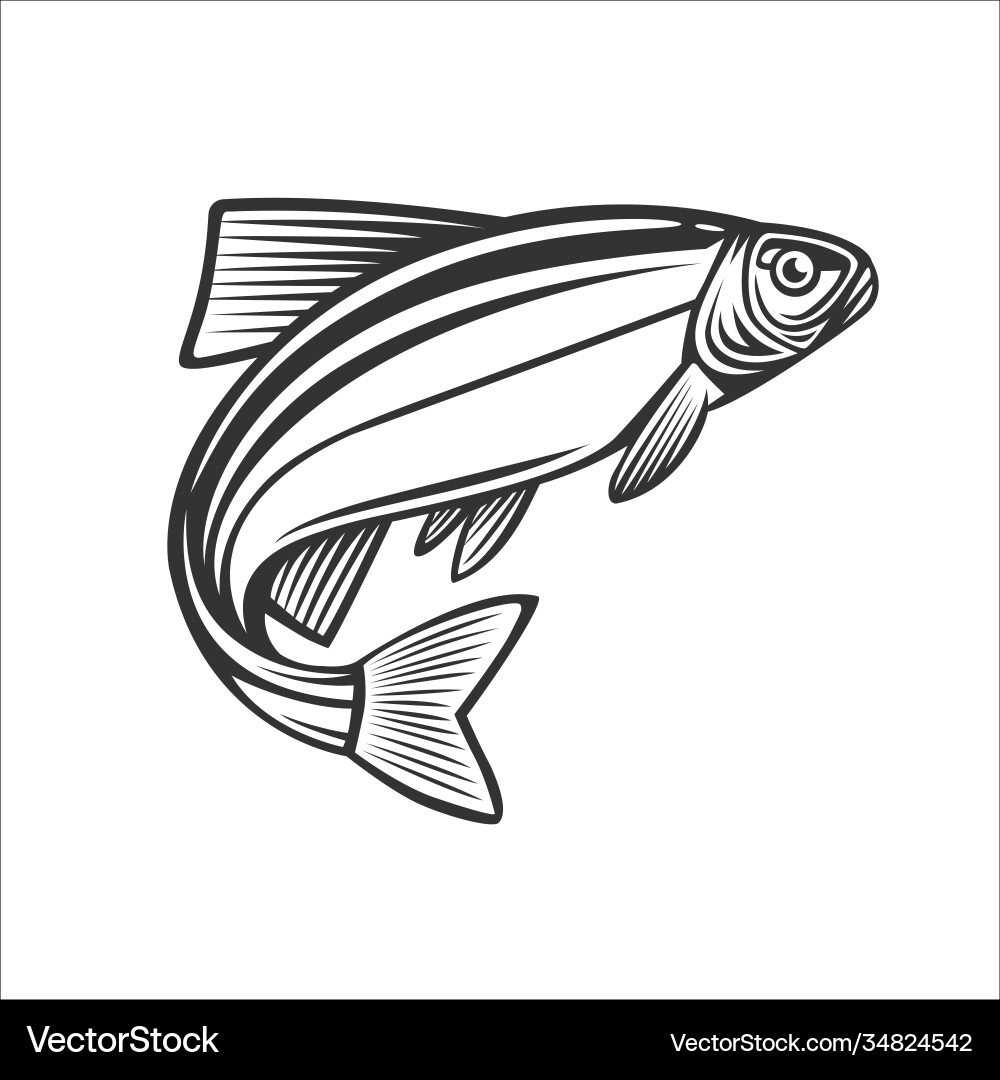 Fish fresh seafood template design Royalty Free Vector Image