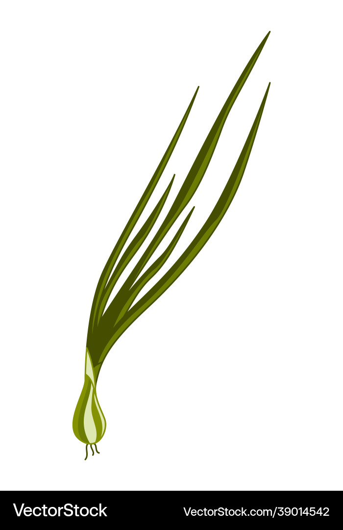Scallion icon in a flat hand drawn style isolated Vector Image