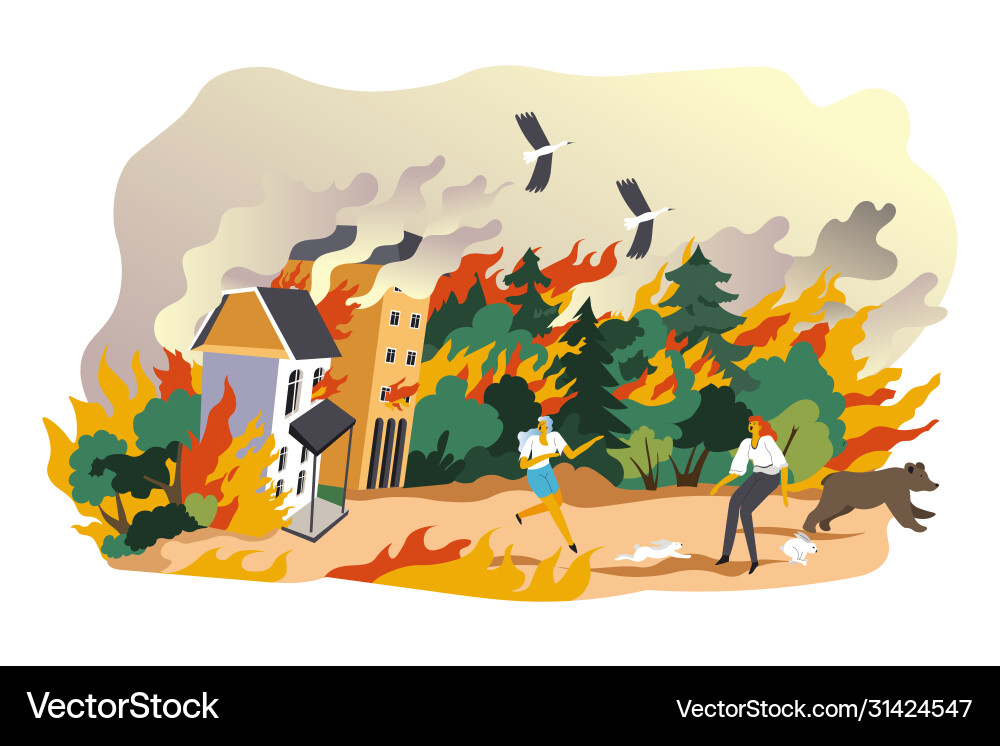 Burning forests natural calamity and emergency Vector Image