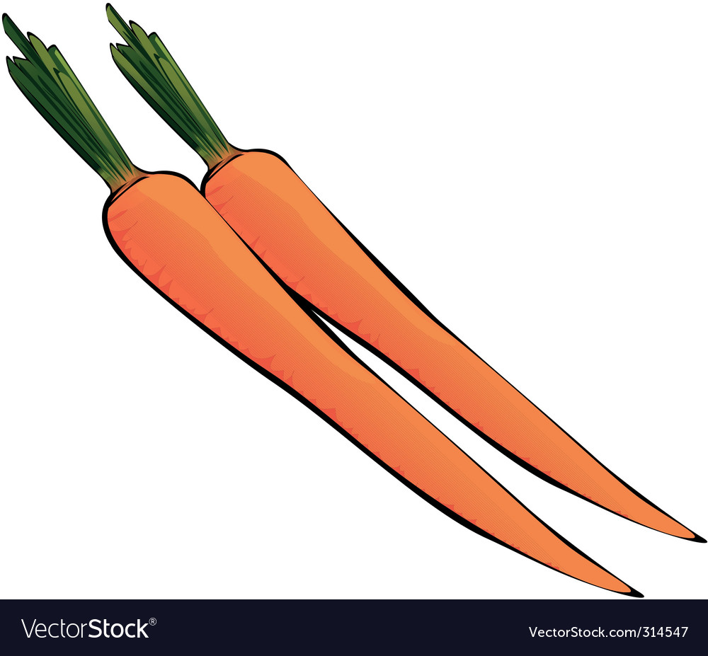 Carrots Royalty Free Vector Image - VectorStock