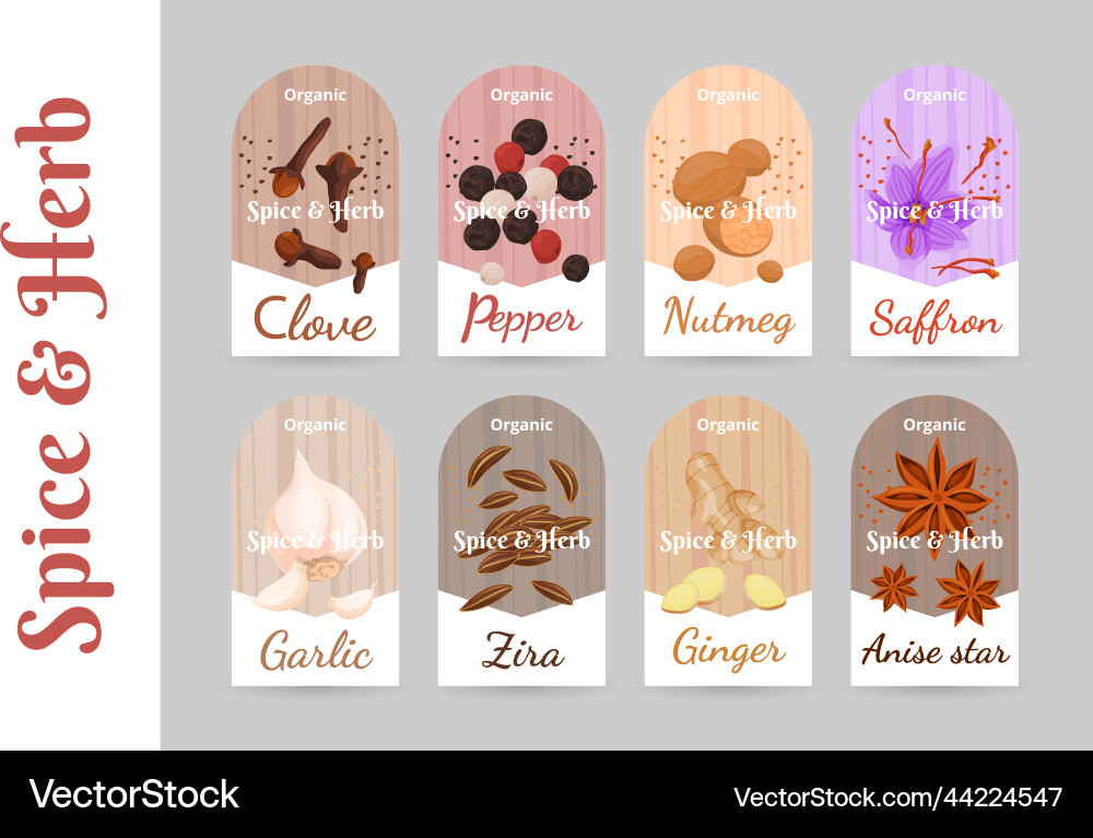 Spice and herbs paper tag store emblem set Vector Image