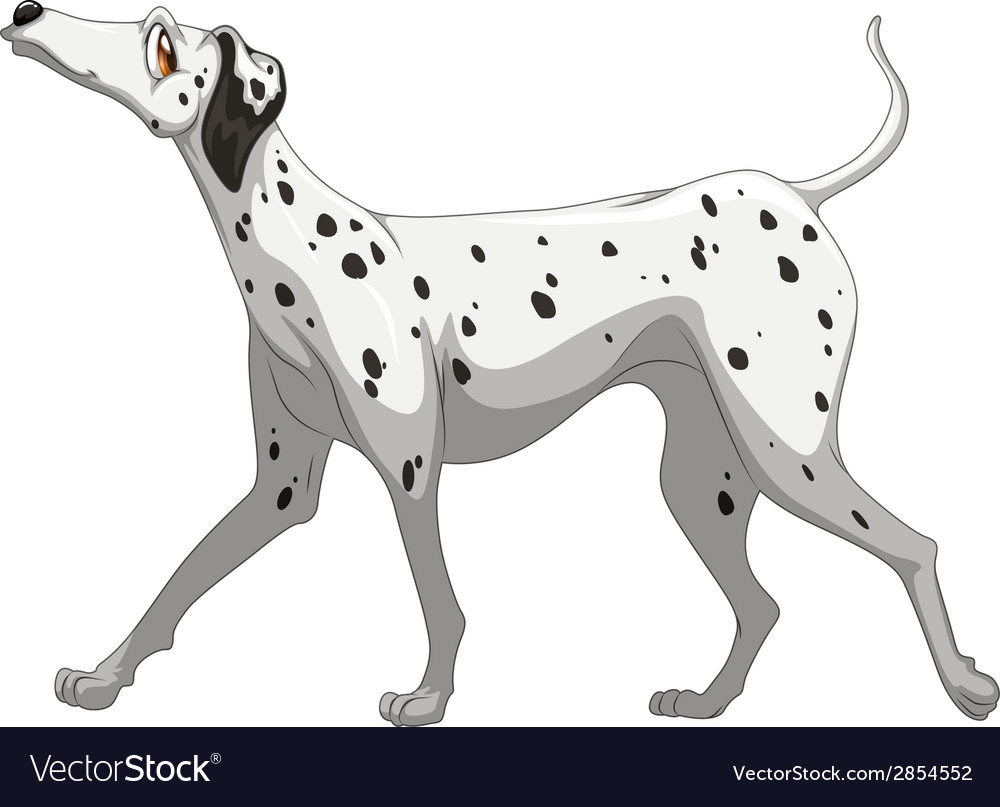 Dog Royalty Free Vector Image - VectorStock