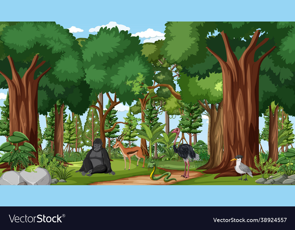 Forest scene with different wild animals Vector Image