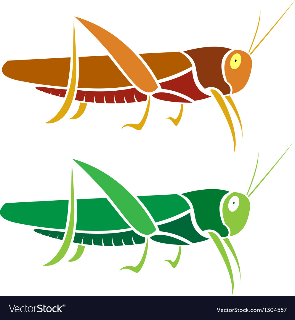 Grasshopper Royalty Free Vector Image - VectorStock