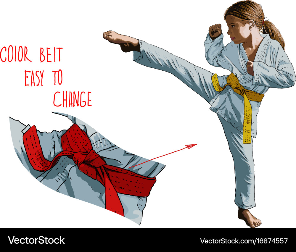 Karateka girl Royalty Free Vector Image - VectorStock