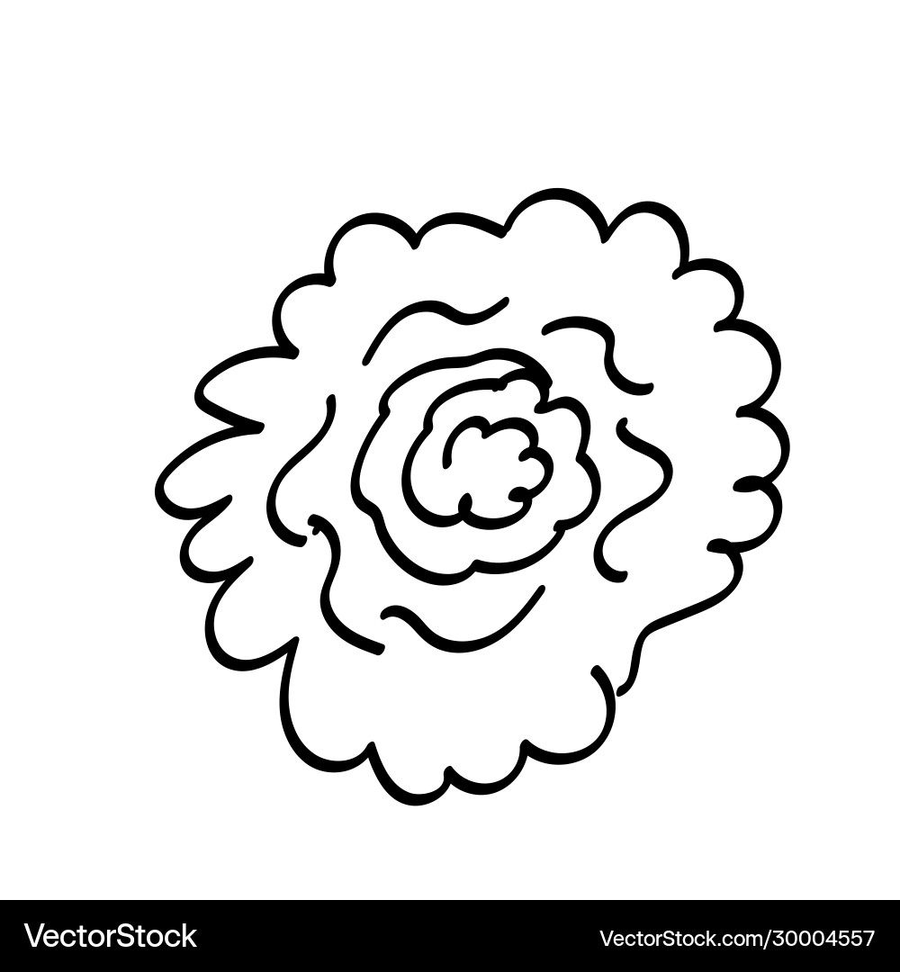 Single doodle outline flower leaf plant twig Vector Image