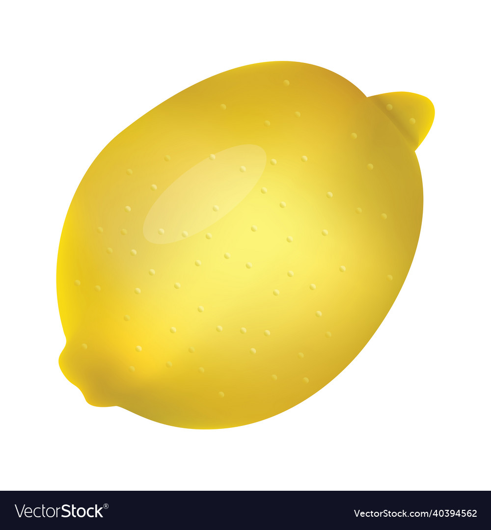 Lemon juicy delicious yellow citrus fruit Vector Image