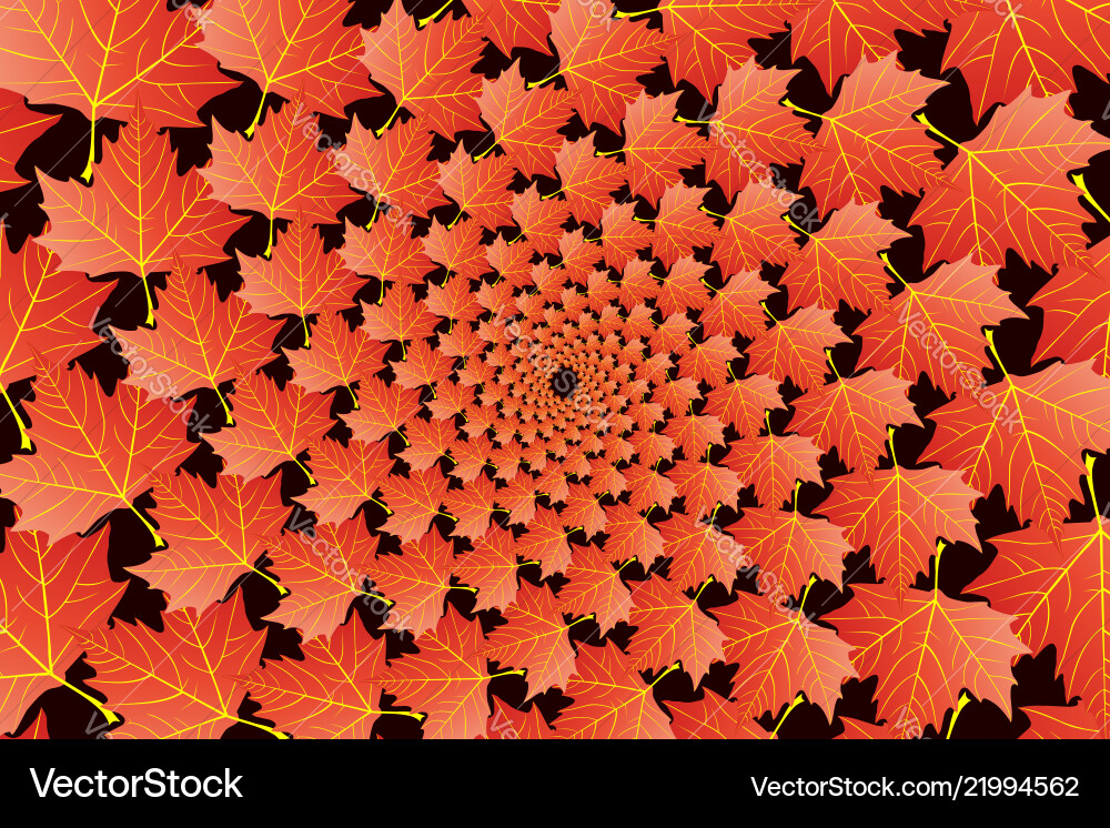Red leaf of sycamore on dark background Royalty Free Vector