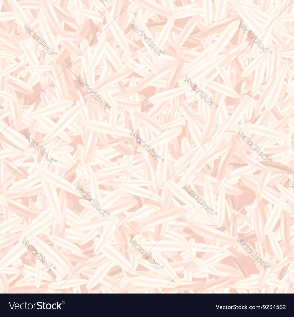 Rice background Royalty Free Vector Image - VectorStock