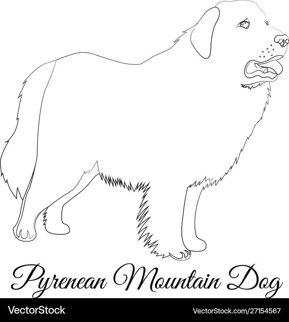Great pyrenees dog outline coloring Royalty Free Vector