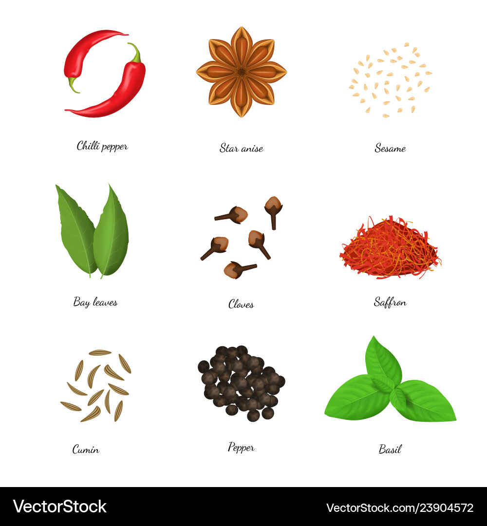 Realistic 3d detailed classic spices collection Vector Image