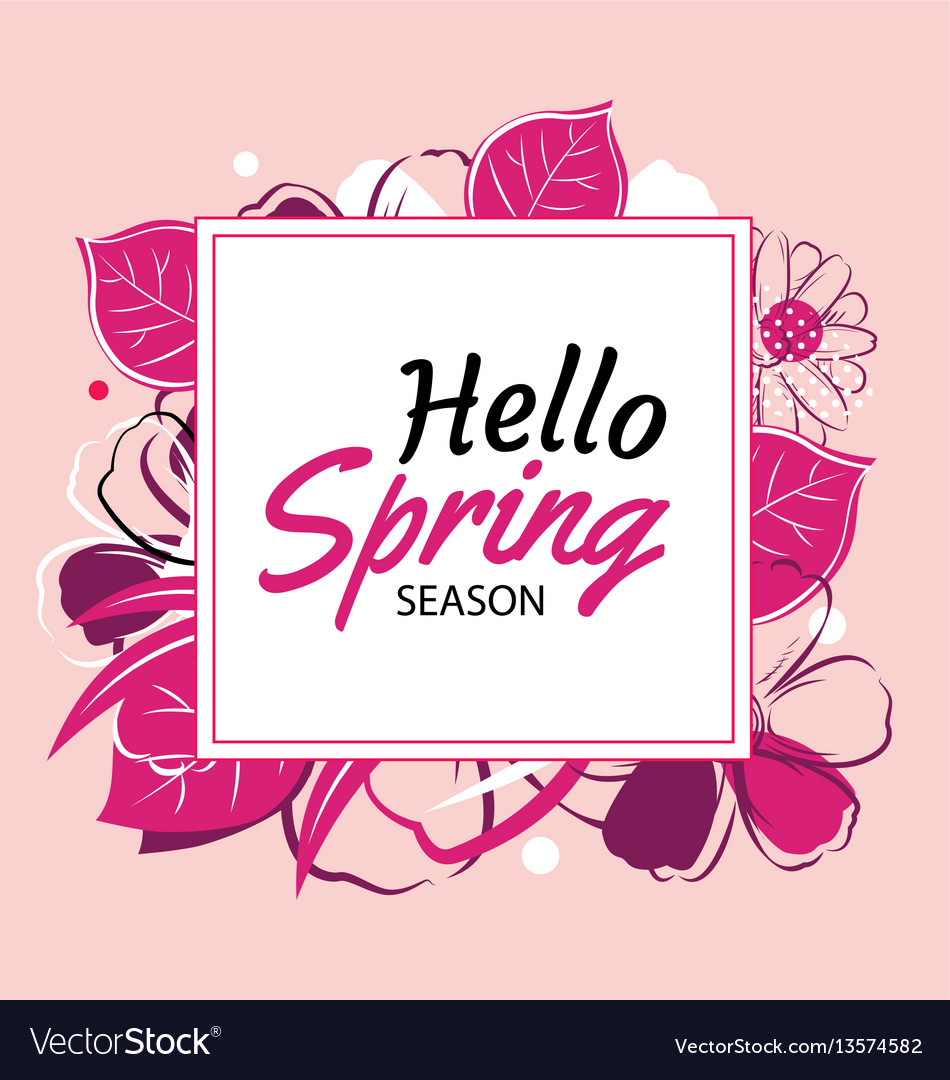 Hello spring banner template with colorful Vector Image