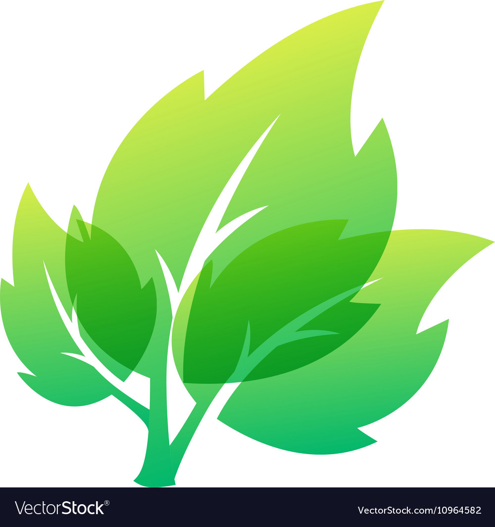 Leaf icon Royalty Free Vector Image - VectorStock