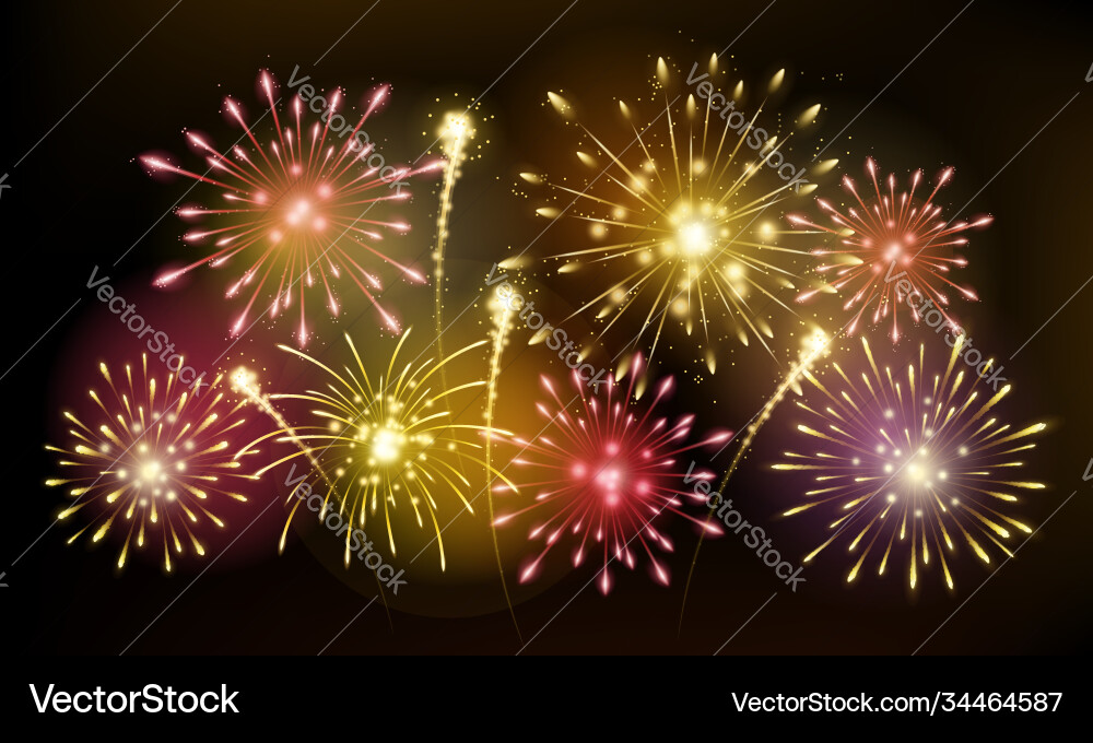 Bright colorful fireworks sparkles shining Vector Image