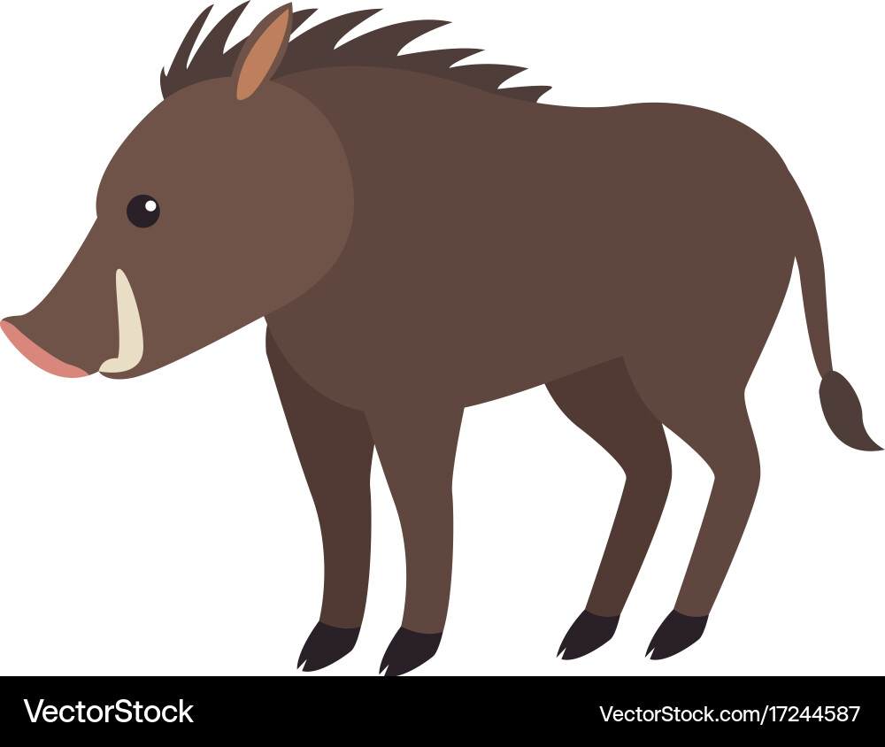 Jabali animal cartoon Royalty Free Vector Image