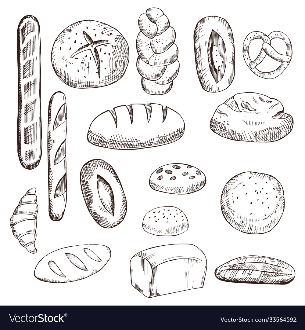 Bread hand drawn Royalty Free Vector Image - VectorStock