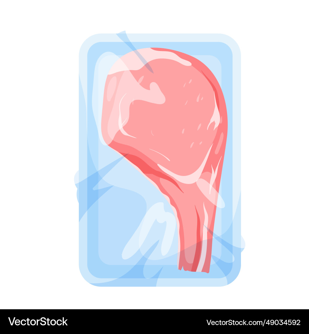 Frozen meat steak in plastic package supermarket Vector Image