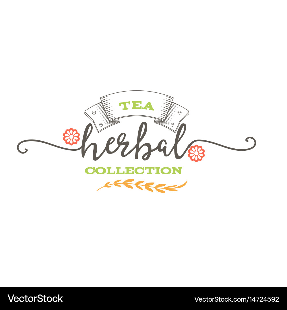 Herbal tea collection badge design sticker Vector Image
