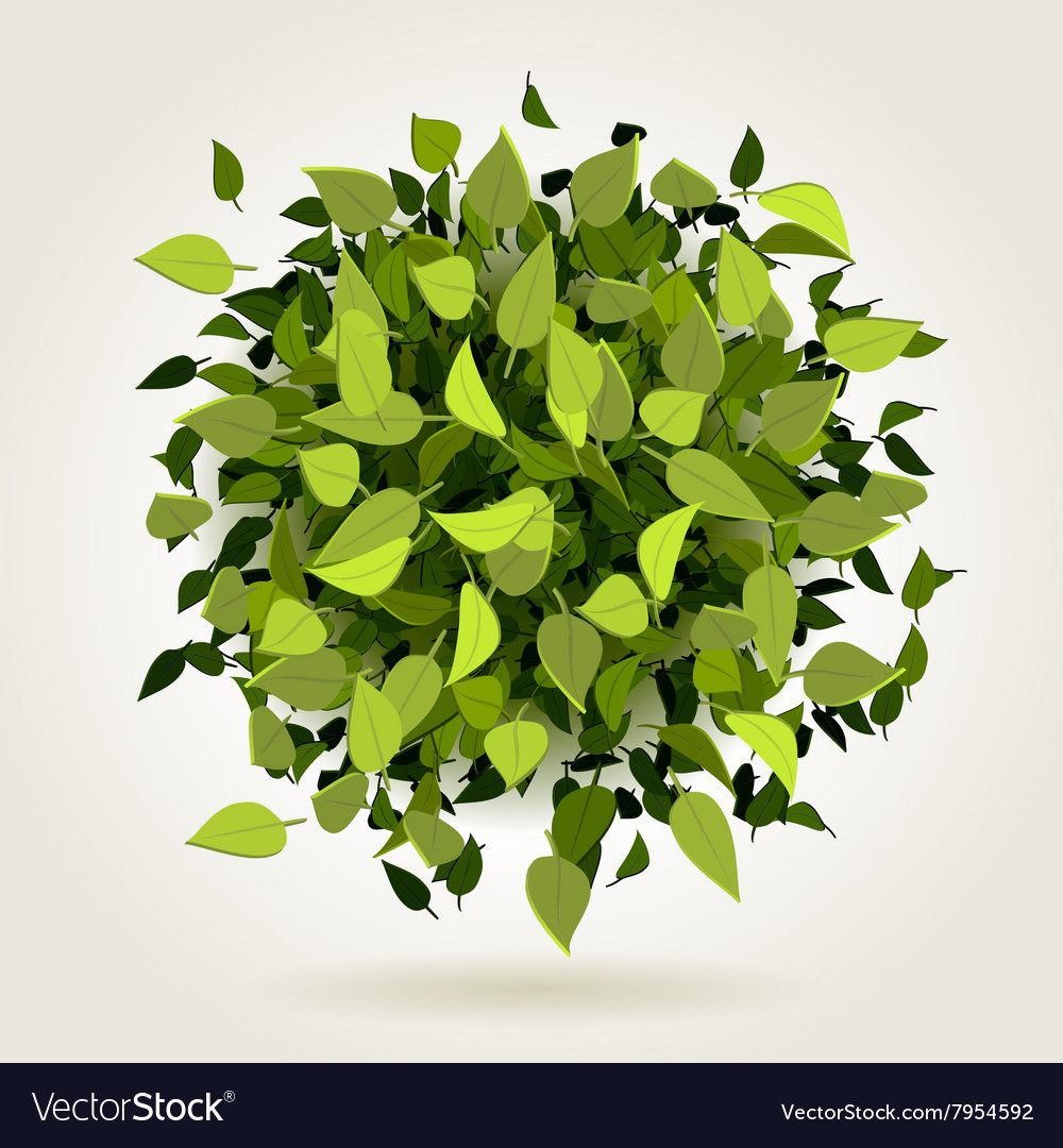 Leaf bomb Royalty Free Vector Image - VectorStock