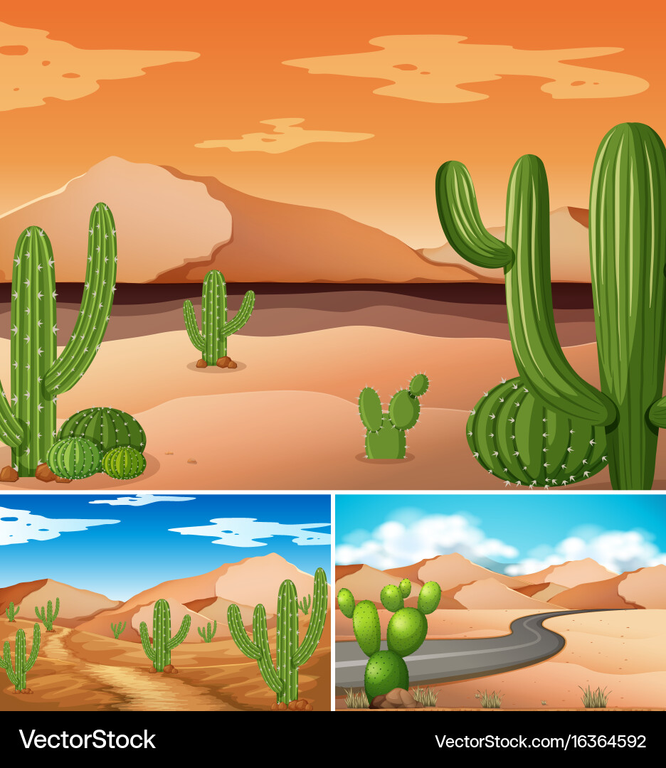 Three scenes with cactus plants along the road Vector Image