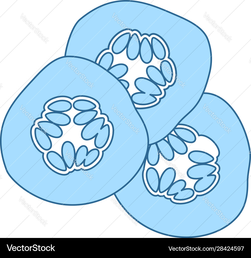 Cucumber slices for spa icon Royalty Free Vector Image