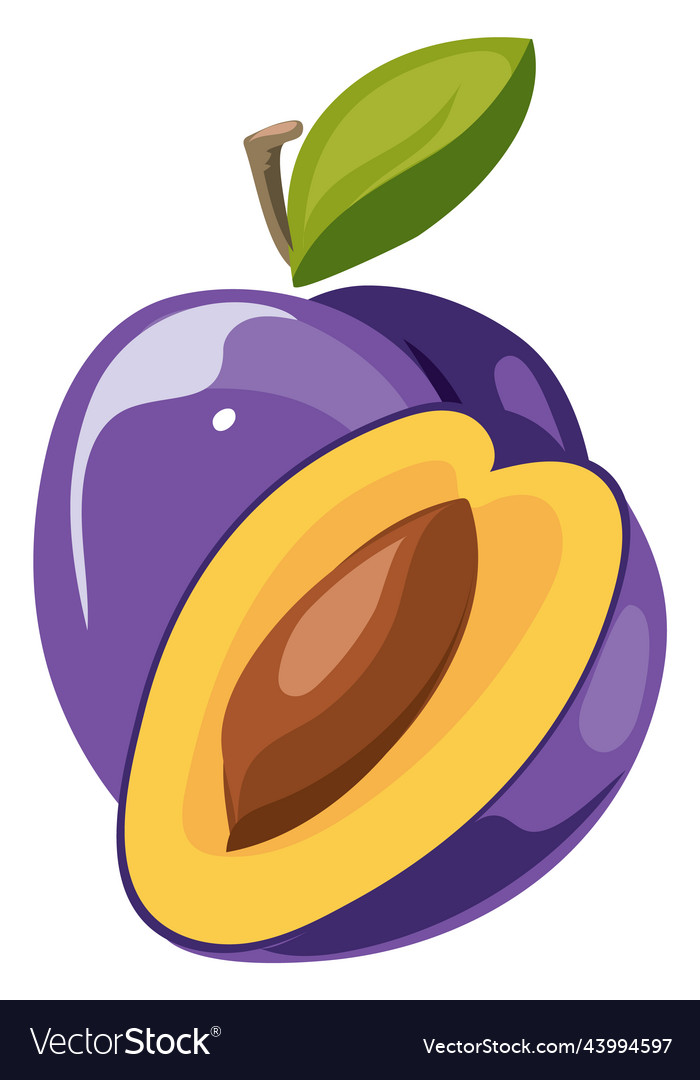 Plum half cut and whole fruit cartoon icon Vector Image Plum half cut and whole fruit cartoon icon Vector Image