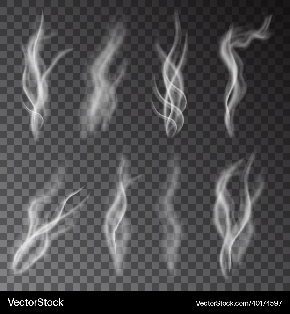 White smoke isolated on transparent background Vector Image