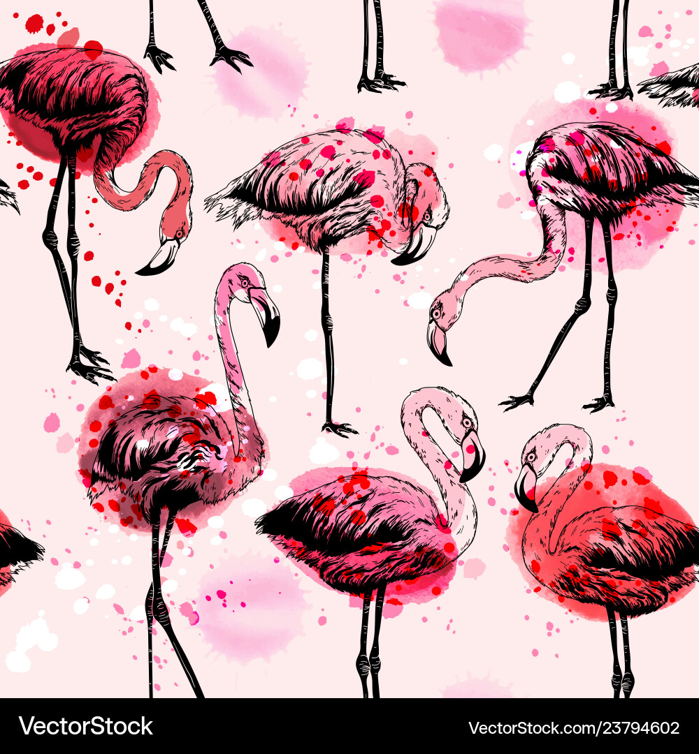 Seamless watercolor pattern with flamingo birds Vector Image