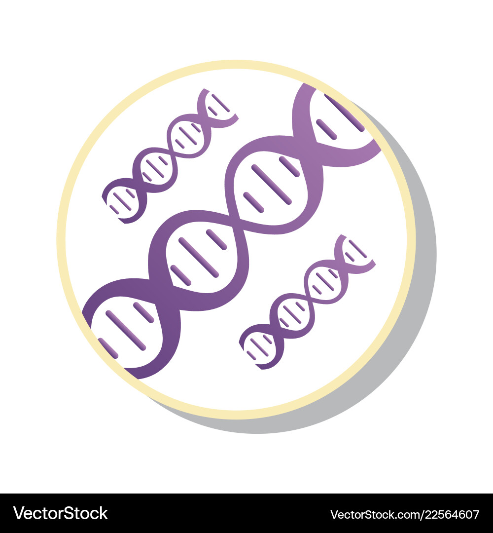 Dna genetic sign elements and icons collection Vector Image