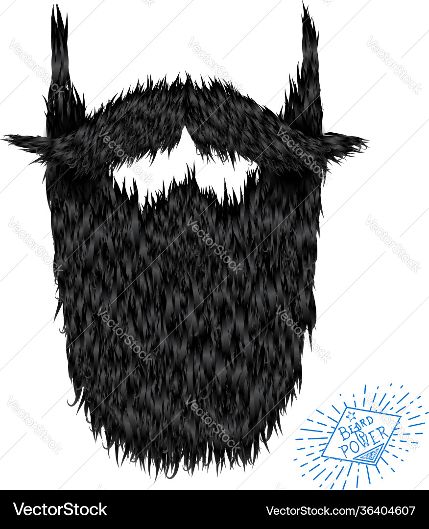 Hairy curly hipster strong beard drawing Vector Image